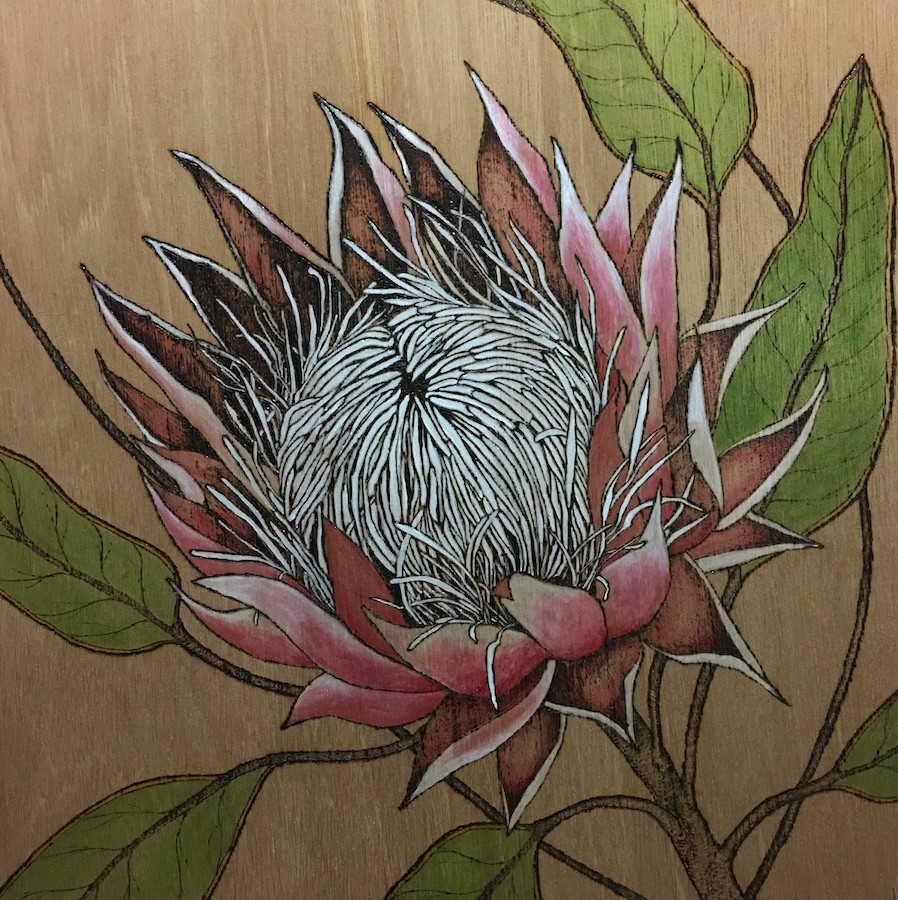 Pyrography Protea on Panel with Polymer | Linton and Kay Galleries ...