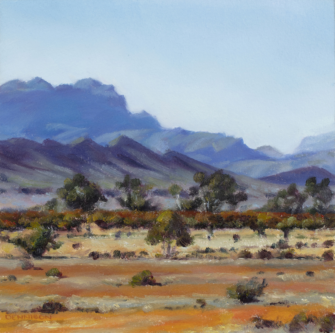 Flinders Ranges 13 | Linton and Kay Galleries | Perth Western Australia