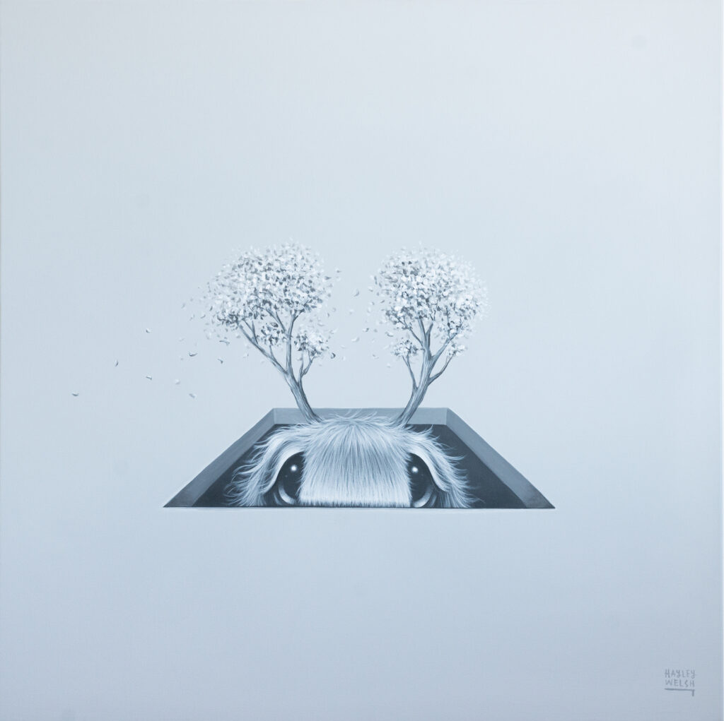 HAYLEY WELSH – FOR YOUR EYES ONLY | Linton and Kay Galleries | Perth ...