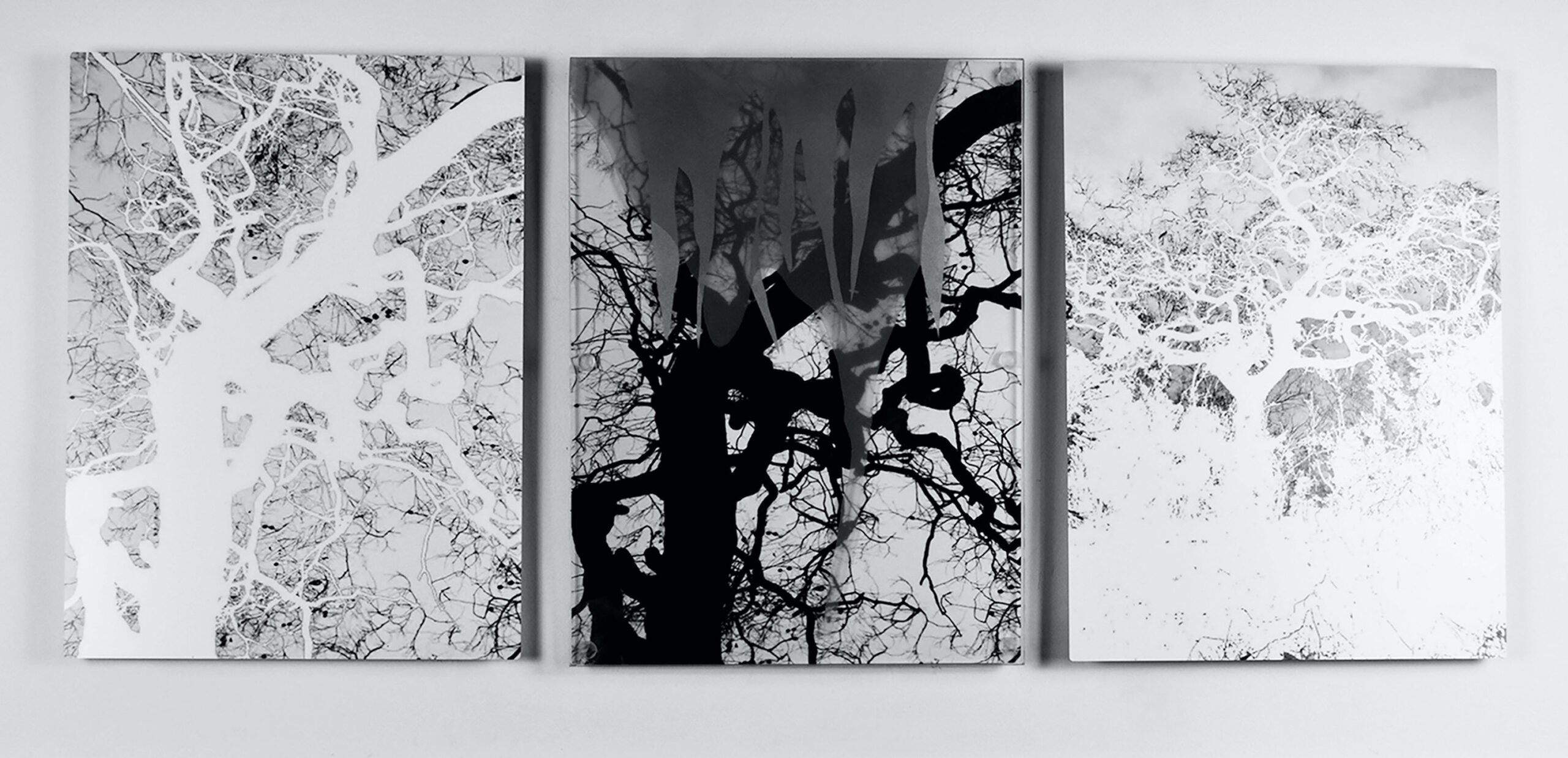 Jillian Ciemitis | Linton and Kay Galleries | Perth Western Australia