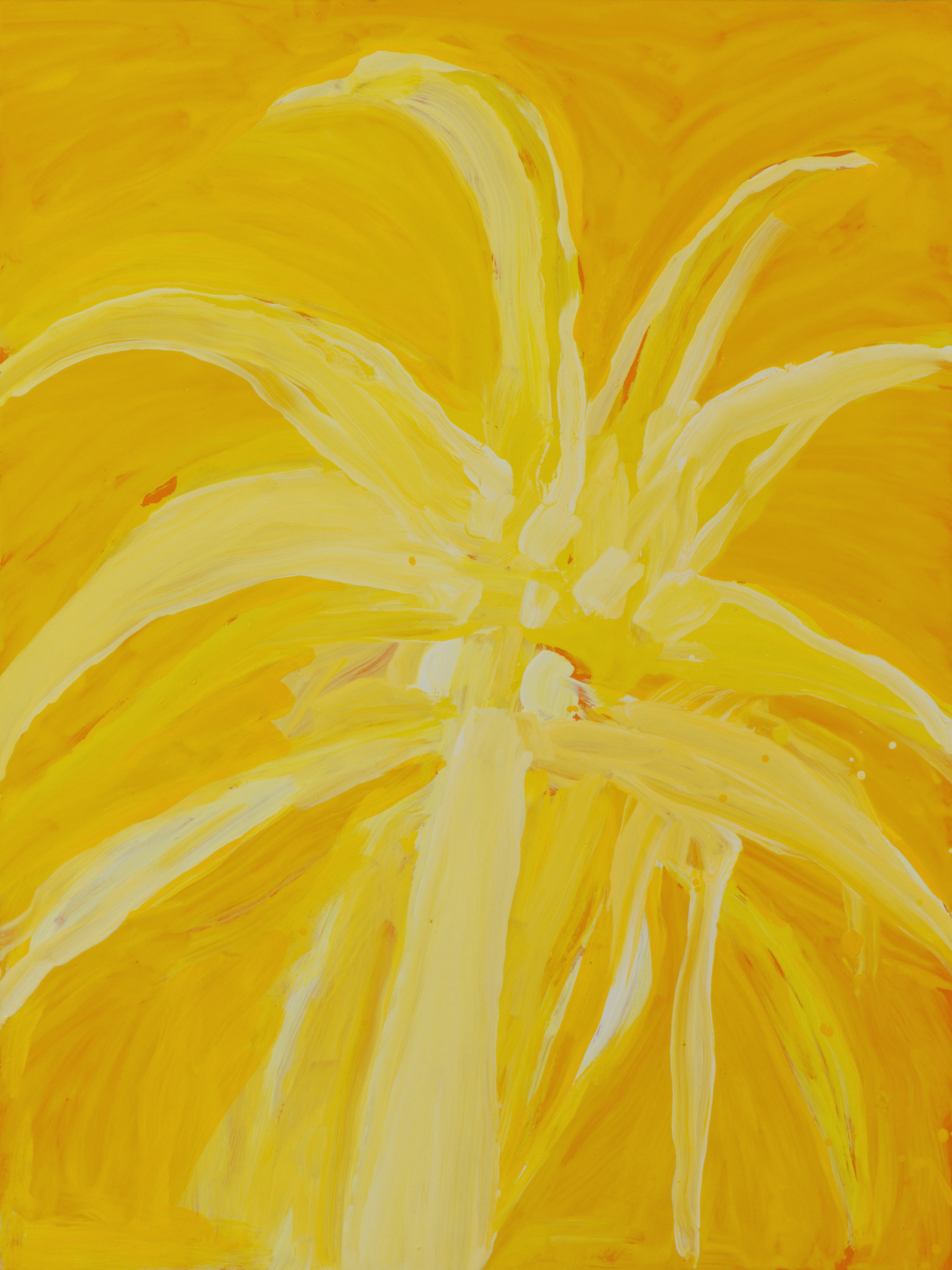 Jasper Knight | Linton and Kay Galleries | Perth Western Australia