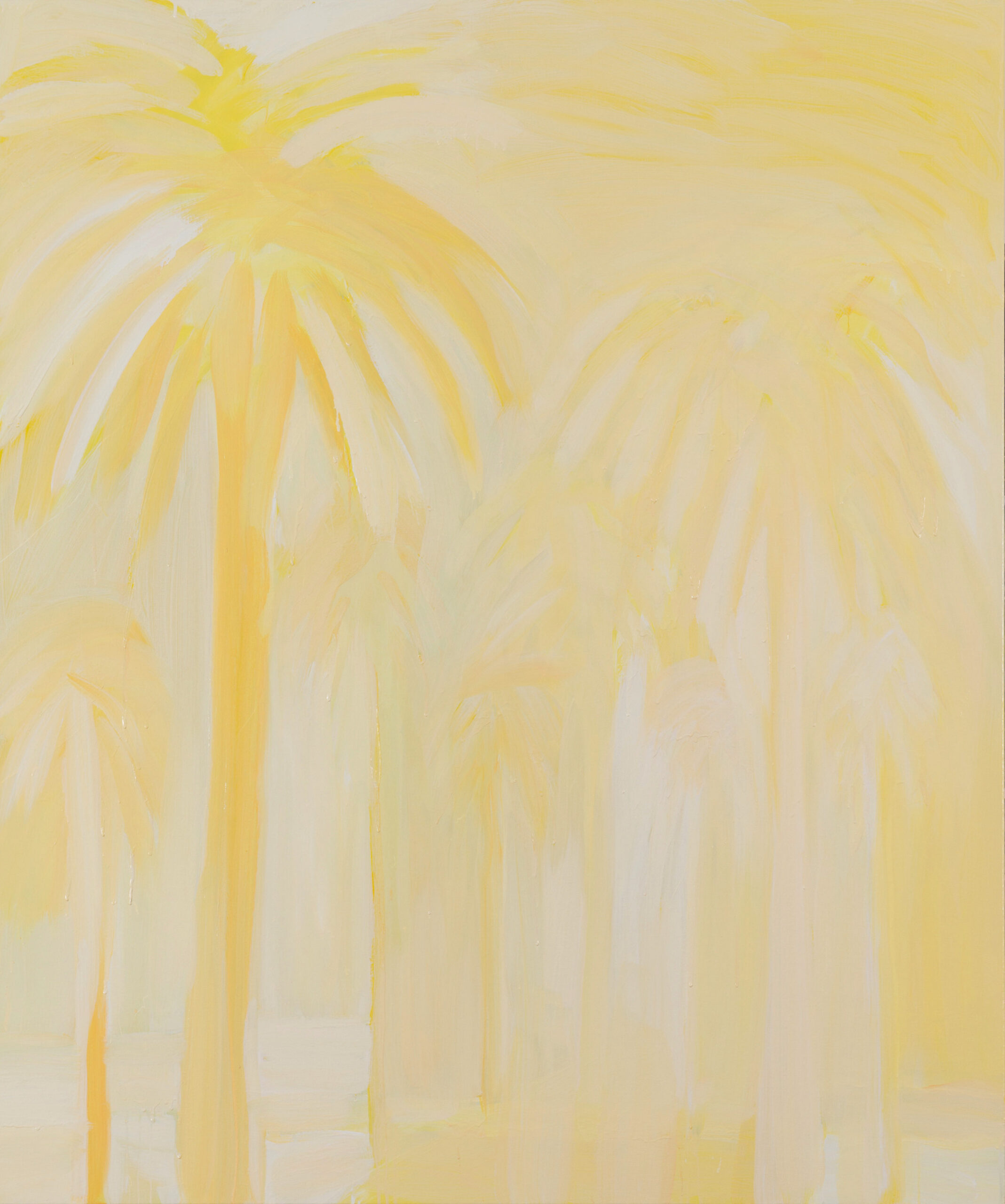 The Coral Coast | Linton and Kay Galleries | Perth Western Australia